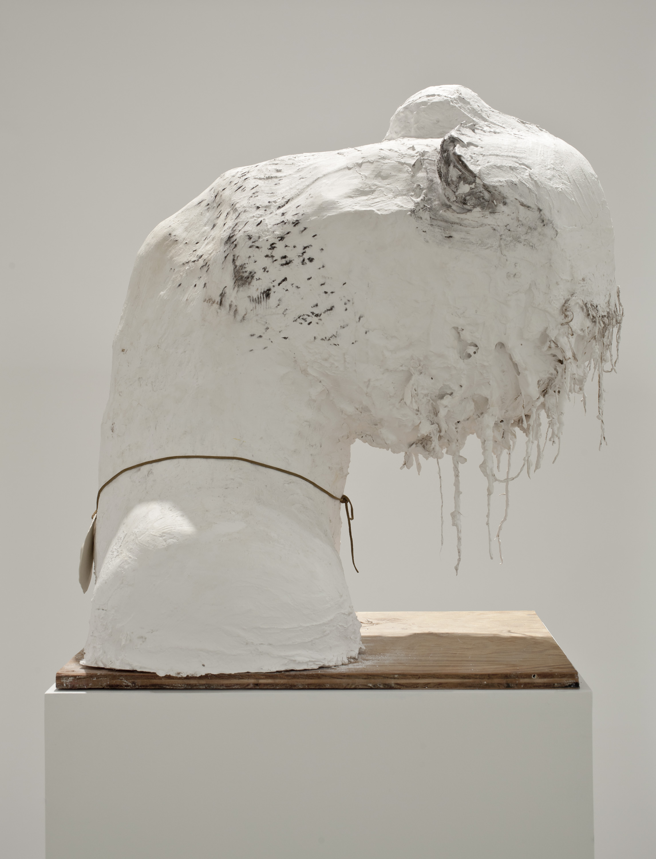 Suzanne Deal Booth / FLAG Art Foundation Prize 2020 - The Contemporary ...