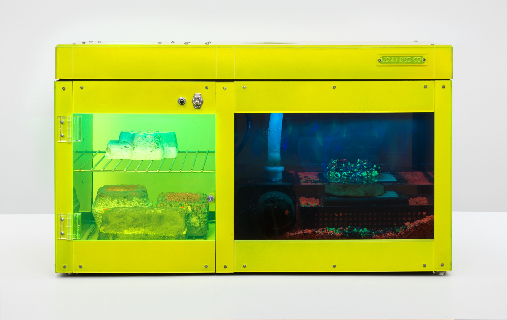 Carl Cheng: Nature Never Loses - The Contemporary Austin